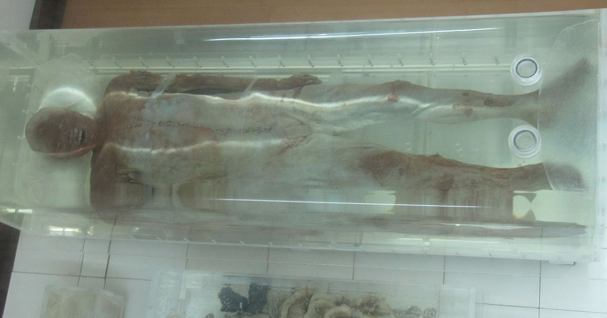 Sobre momias y momificaciones: Mummy in the history museum of Jingzhou