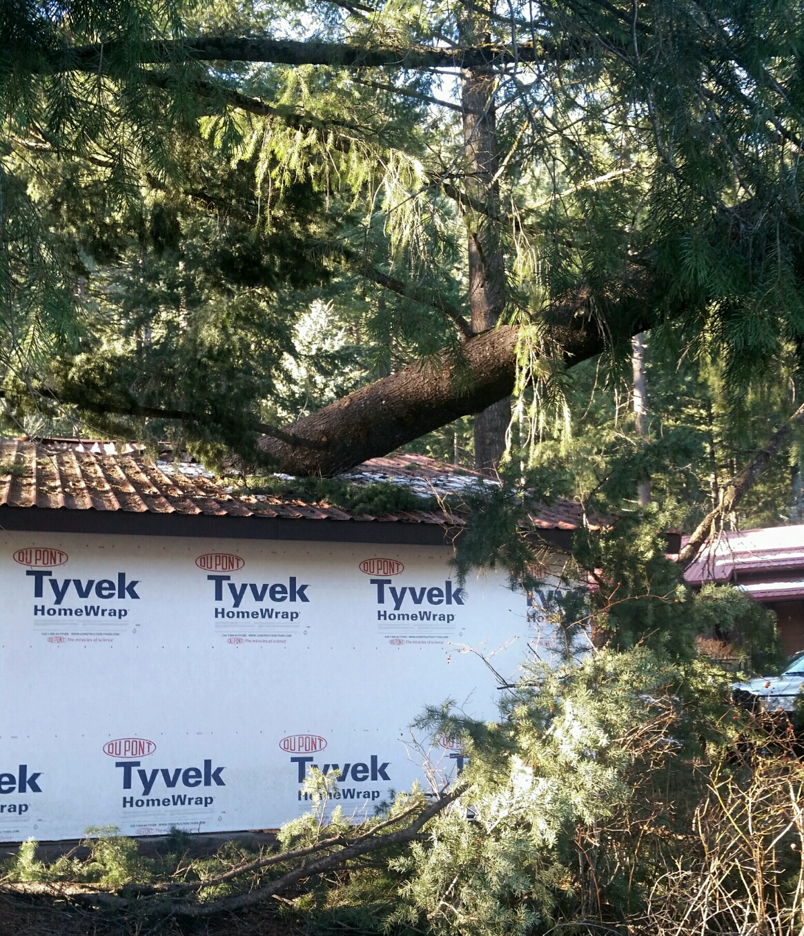 Cliff Mass Weather Blog: Solstice Wind Storm in Leavenworth, Washington