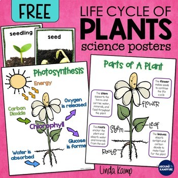 The Best of Teacher Entrepreneurs: FREE SCIENCE LESSON - “Plant Life ...