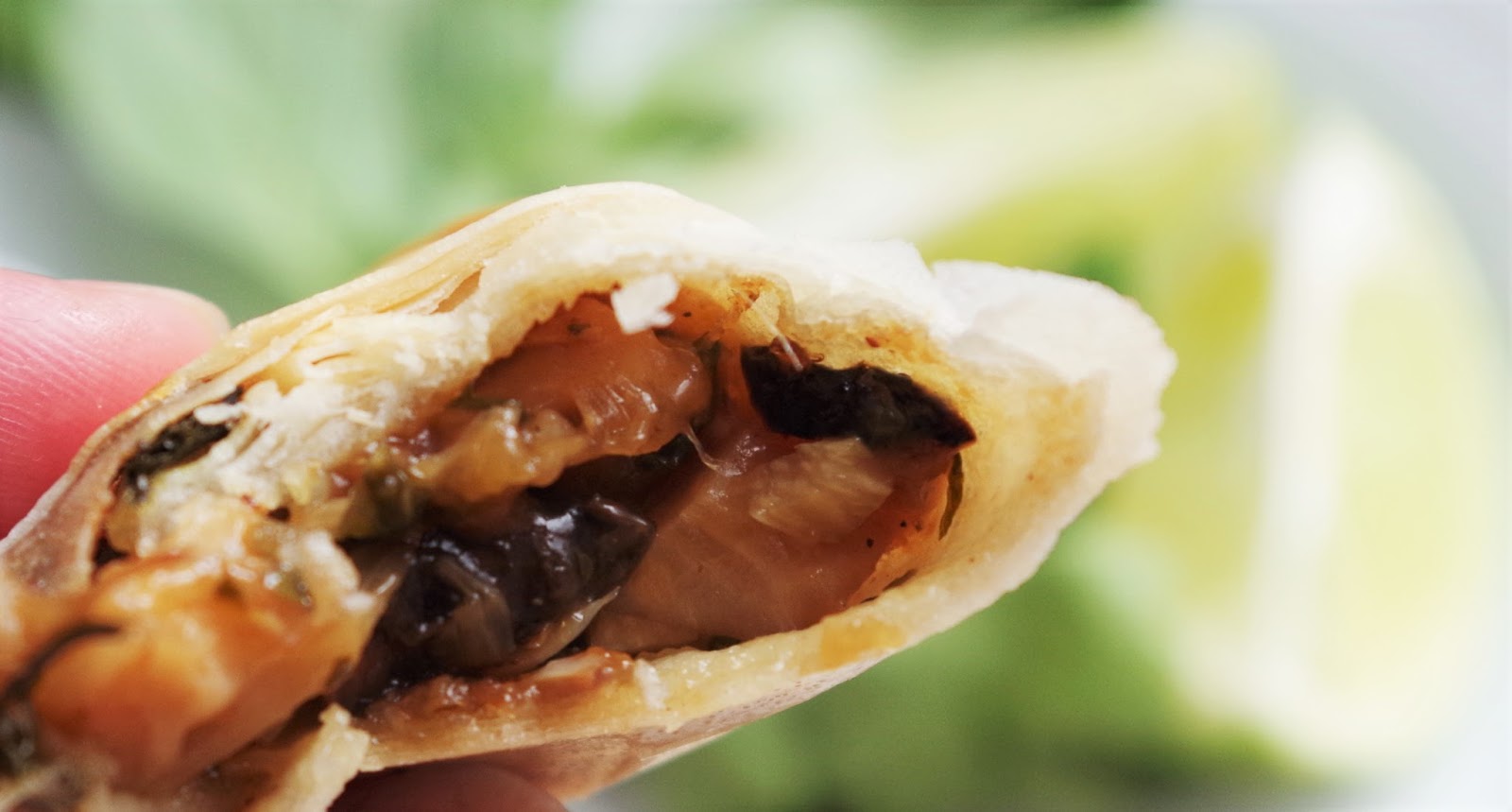 Baked Jackfruit & Mushroom Spring Rolls |Euphoric Vegan