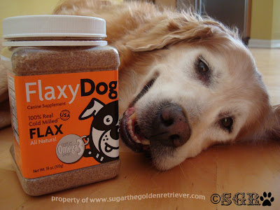 Blueberries and Banana Frosty Paws with Flaxy Dog - Golden Woofs