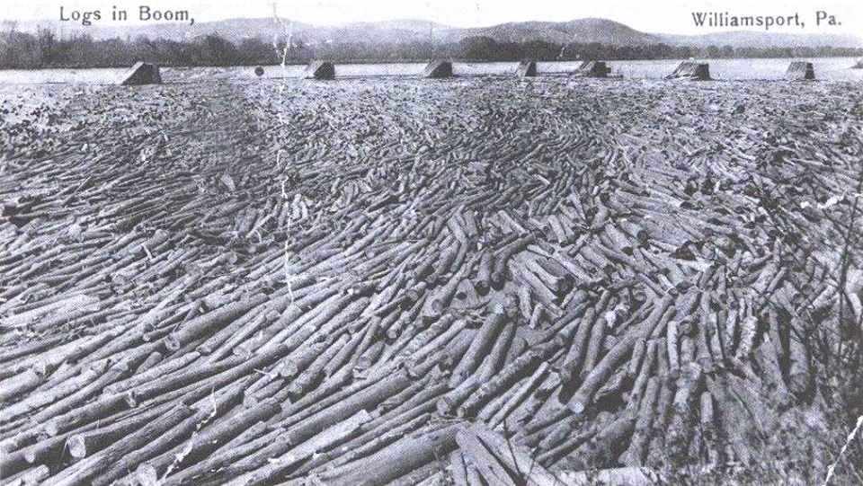 Valley Girl Views: The Lumber Boom In Williamsport
