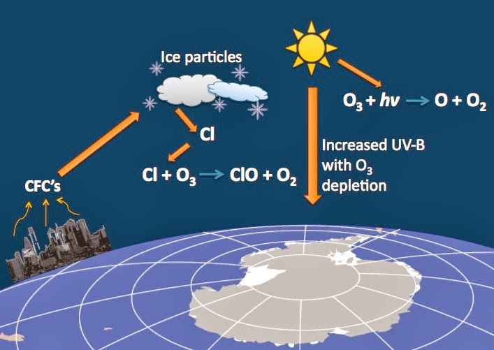 Chemistry of Ozone Depletion
