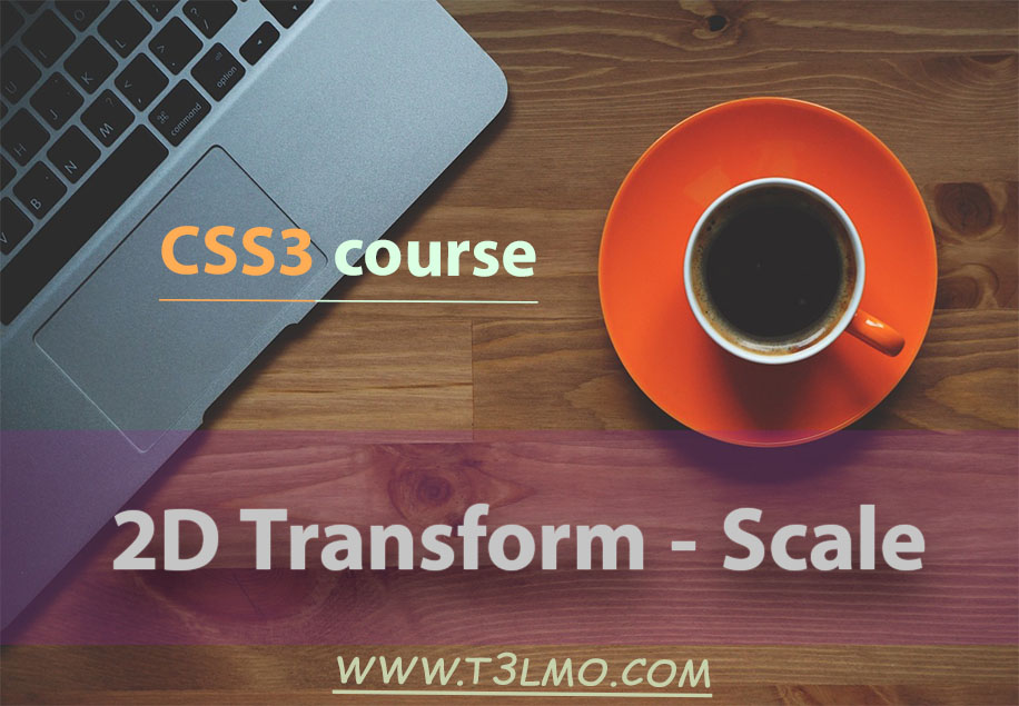 شرح 2D Transform Scale في لغة Css3