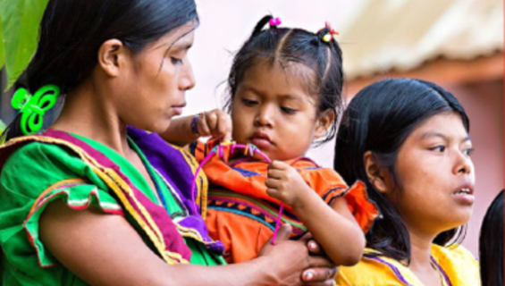 Grupos vulnerables en la sociedad : Indígenas como grupo vulnerable