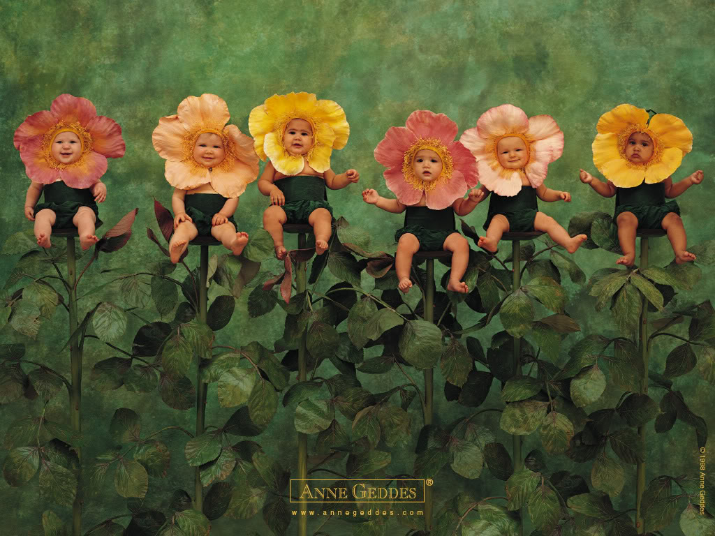 Bebés anne geddes gratis - Imagui