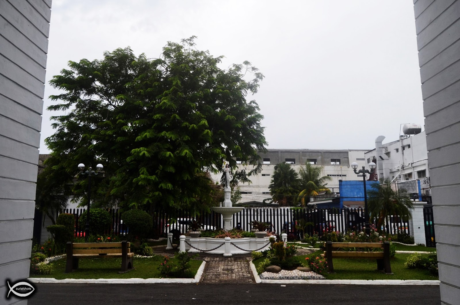 Zuriel Shots: Albay Provincial Capitol