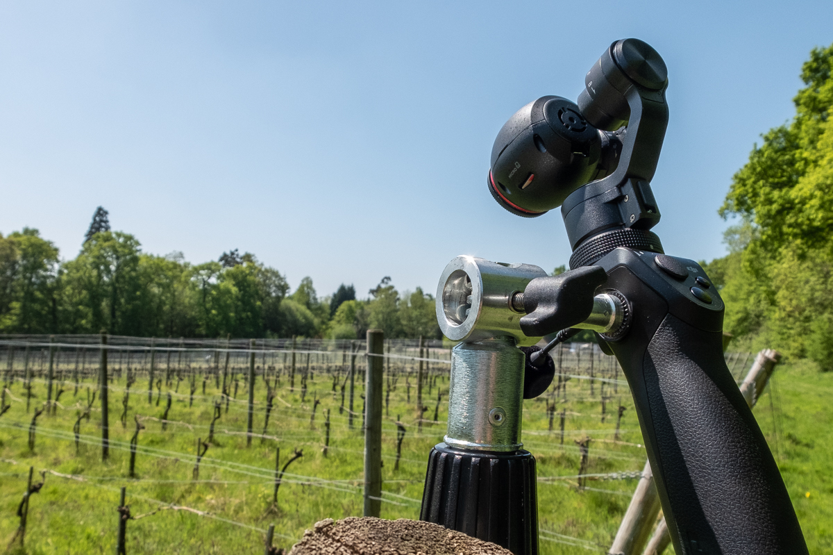 Get high with The SPIG