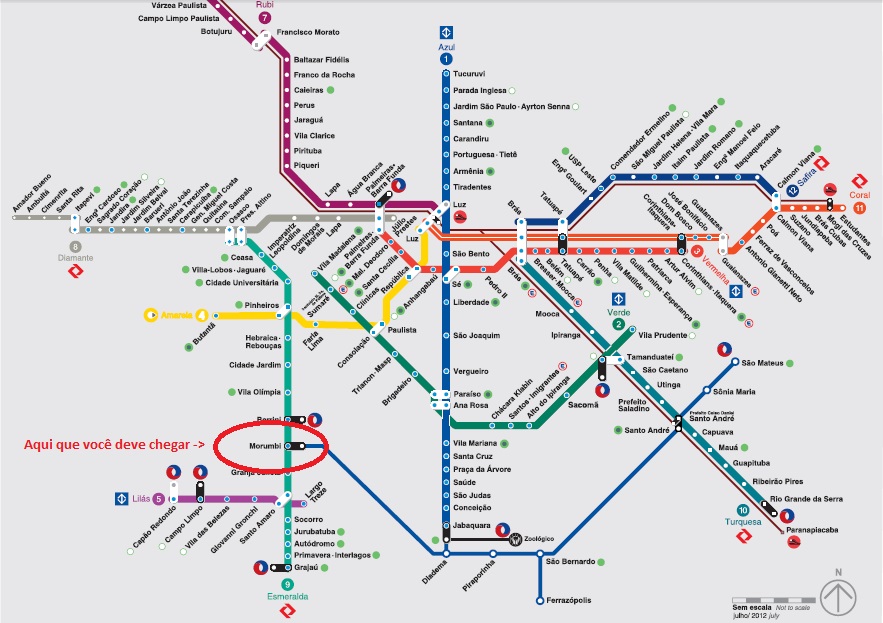 Força Tricolor: Guia do Morumbi