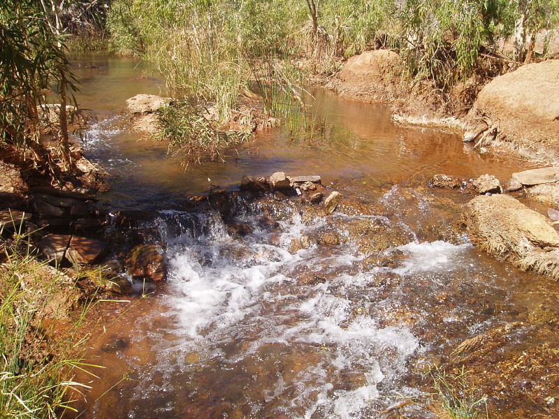The Travelling Novocastrians: MILLSTREAM CHICHESTER NATIONAL PARK WA