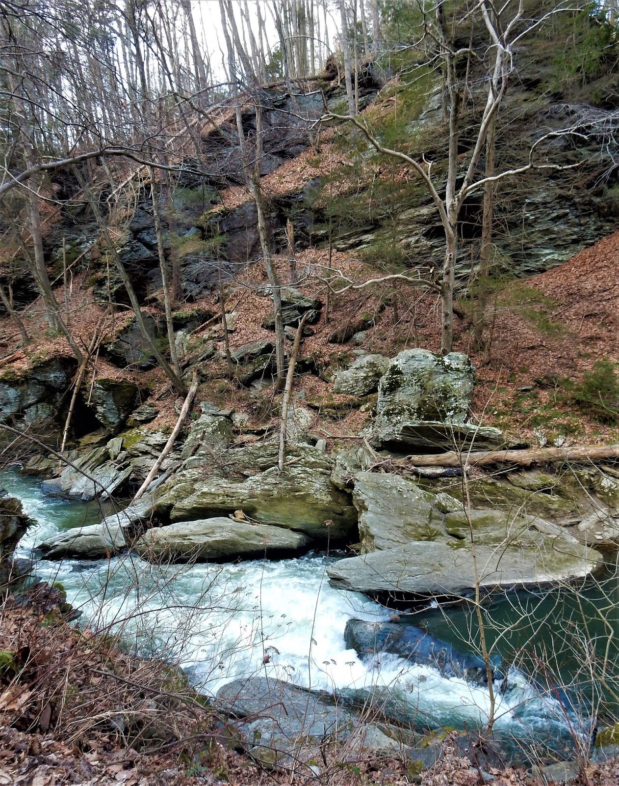 Natural Mid-Atlantic : PA Conestoga Trail: Pequea Nature Trail Section
