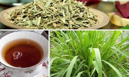 Malojillo. Receta propiedades y beneficios para la salud ~ Natwiki