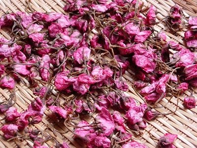 my wagashi chronicles: salt-preserved cherry blossoms