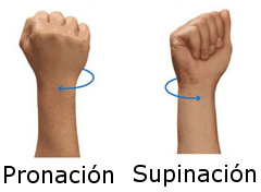 Radiologia Básica: Movimientos del cuerpo