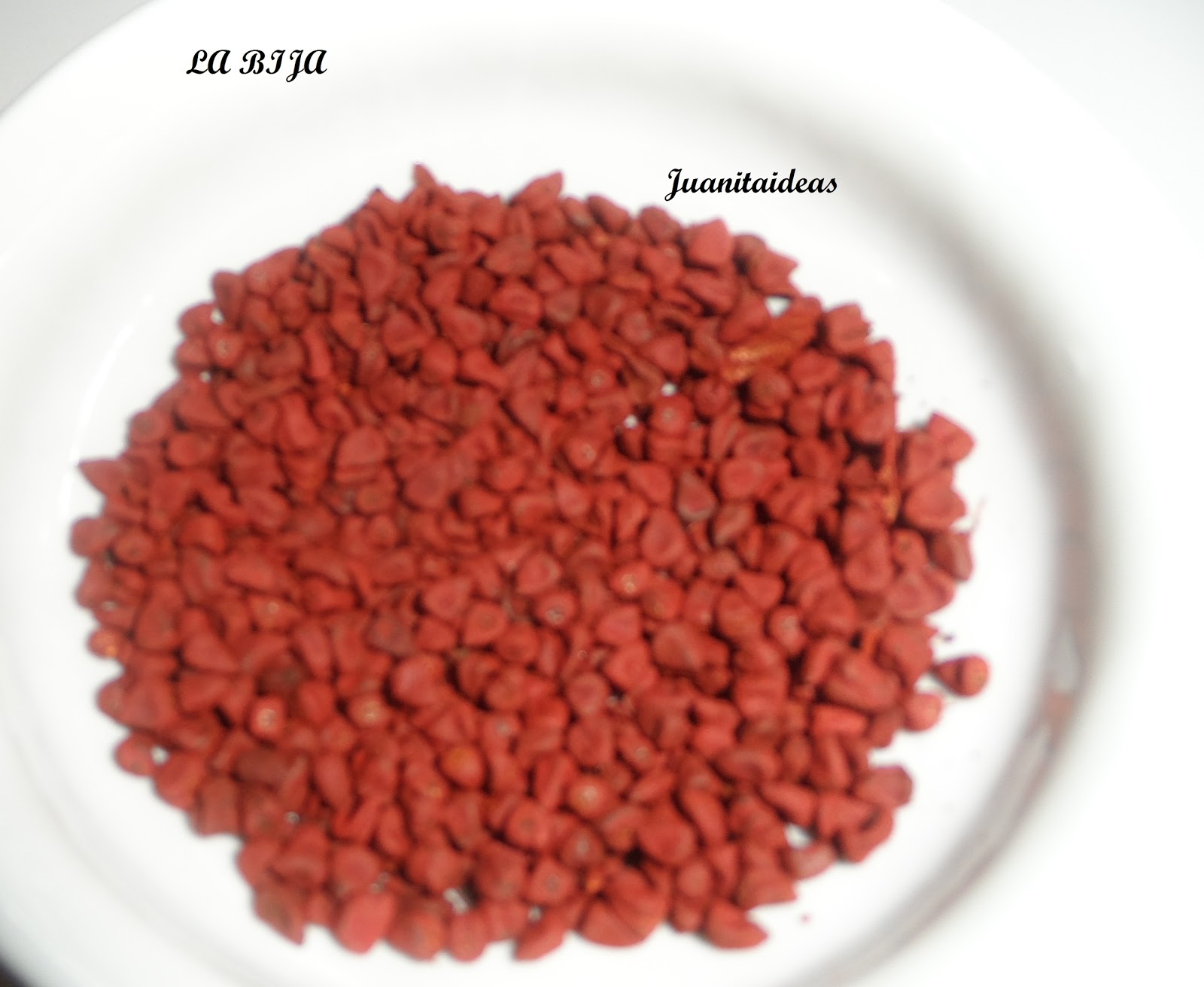 juanita ideas para el hogar: LA BIJA