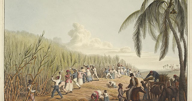 Epic World History: Sugarcane Plantations in the Americas