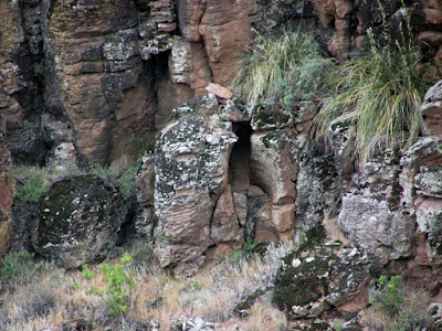 Mexico's Shocking Cave Finds Unearthed!