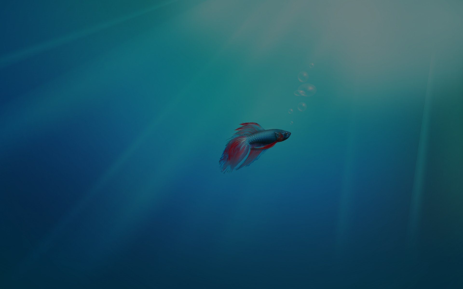 Proporzione Divina: Windows 7 Beta Fish Wallpaper