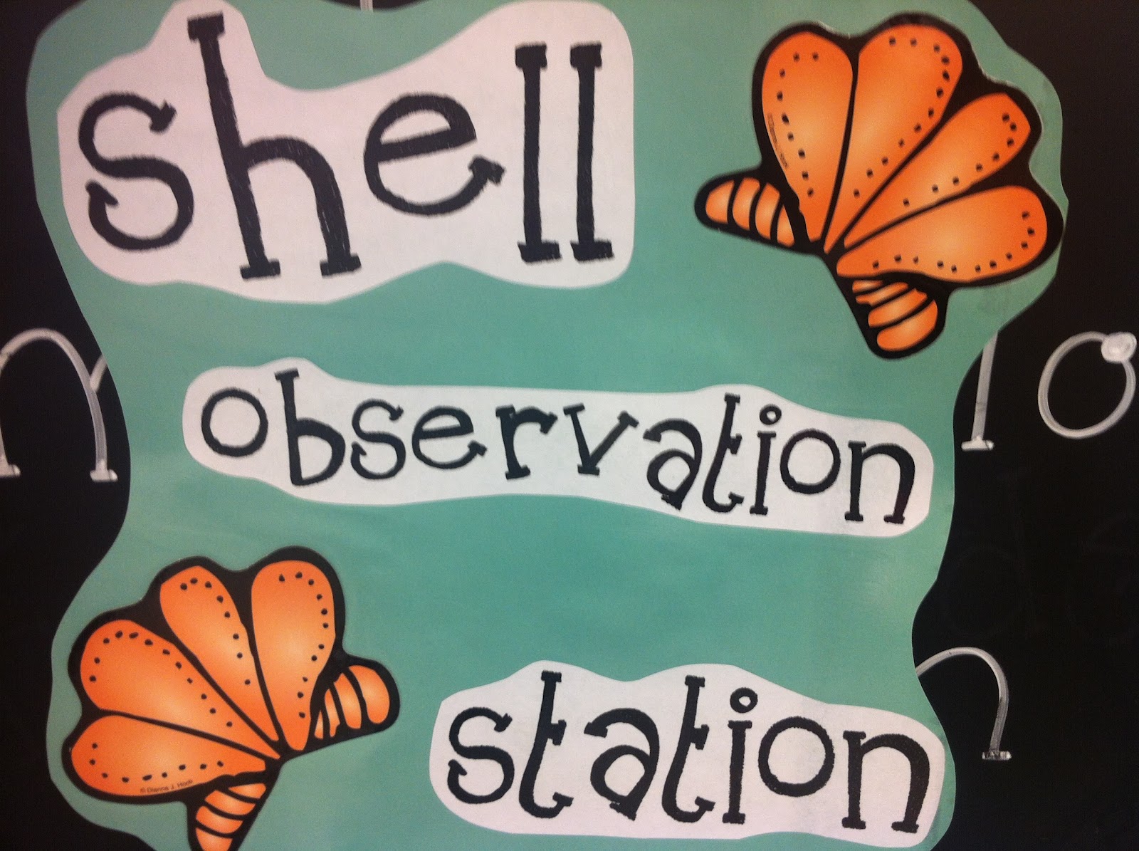 First Grader...at Last!: Marine Science Sea Lab