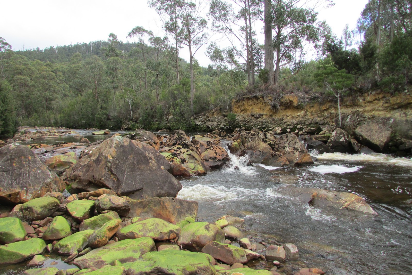 Esperance River | Hiking South East Tasmania