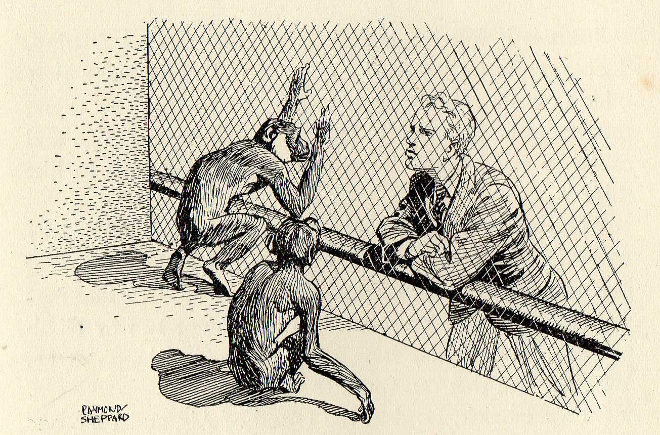 Raymond Sheppard and Patrick by Diana M. Buttenshaw