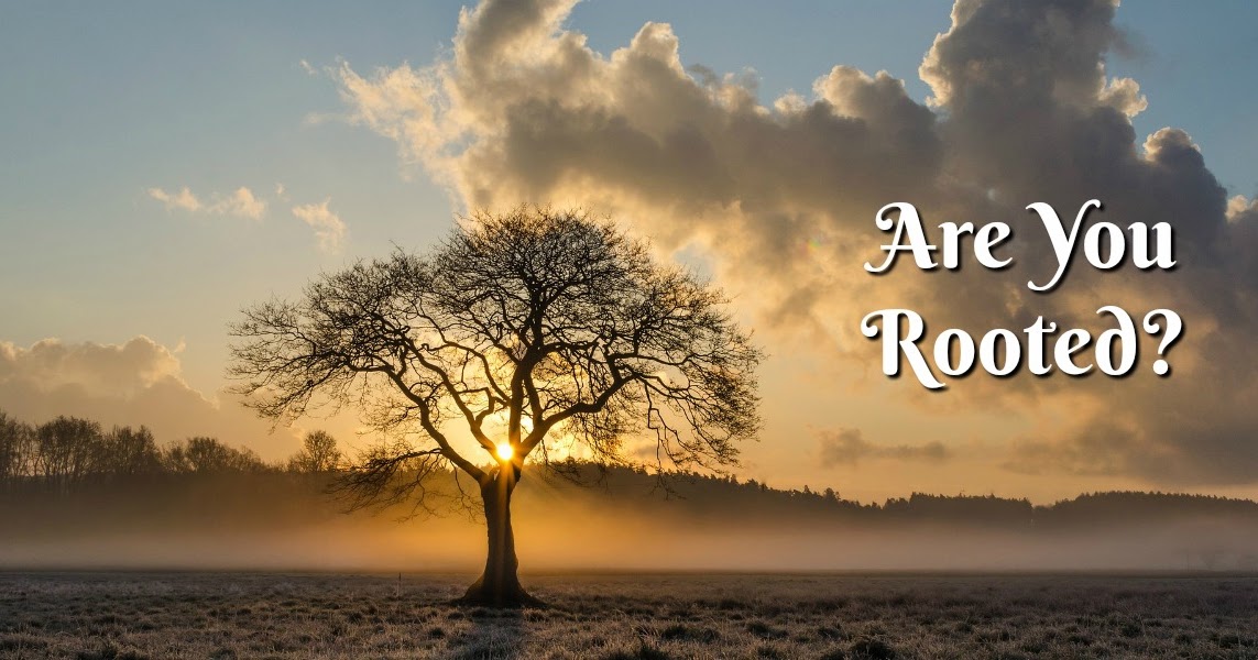 Bible Love Notes: Rooted and Established in Love