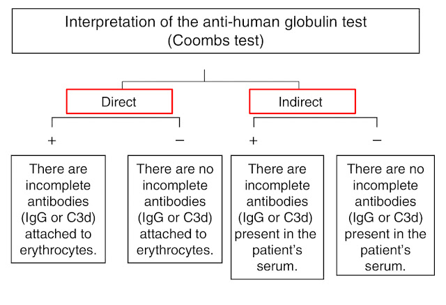 Medical Terms & Сlinical Сases : Coombs test
