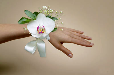 Joshpk: Latest Pakistani Gajra Designs