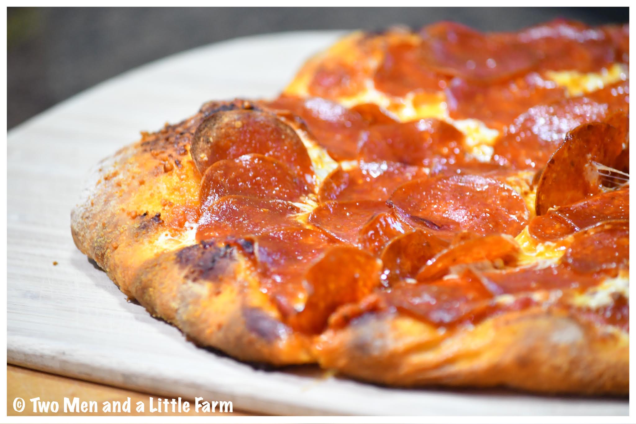 Two Men and a Little Farm: LODGE CAST IRON PIZZA PAN REVIEW