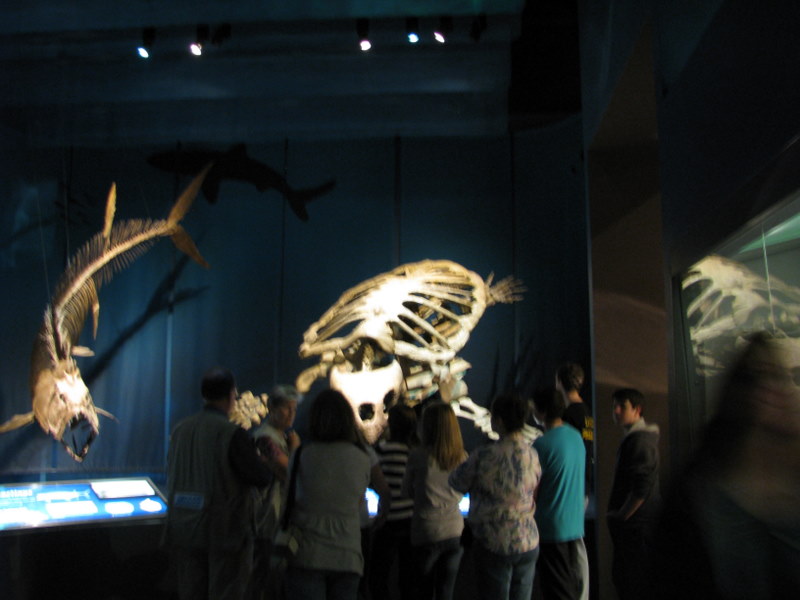 The Science Museum Field Trip