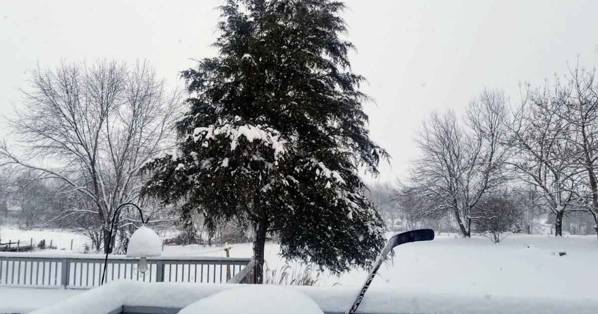 Sure Foundation Homeschool Tutorial