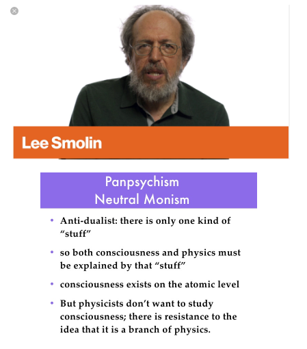 .: Physicist Lee Smolin on Intrinsic Essence... and (?) Panpsychism
