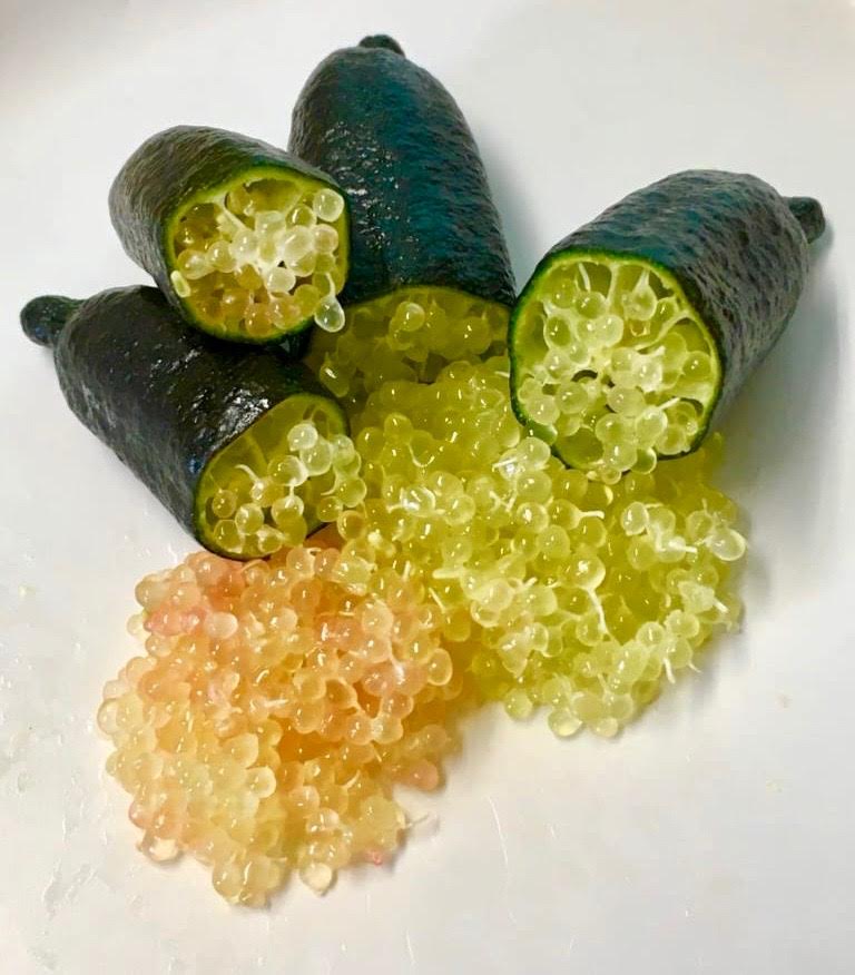 HOLIDAYS AROUND ALICANTE AND ELCHE BLOG