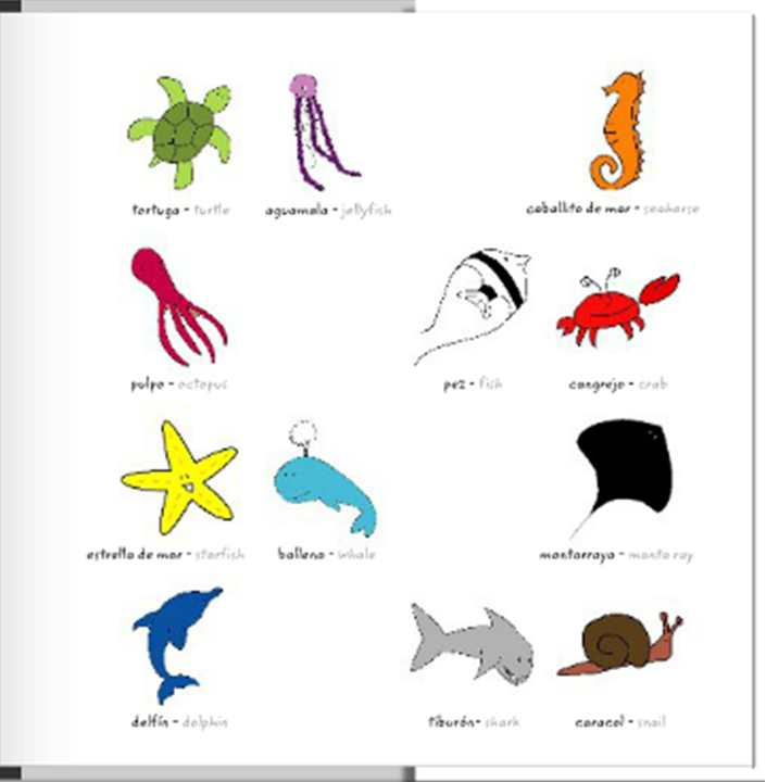 "Veo, veo" Spanish book series for children: Publication of 4th book ...