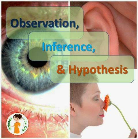 Innovative New Resource: Observation, Hypothesis and Inference ...