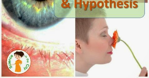 Innovative New Resource: Observation, Hypothesis and Inference ...