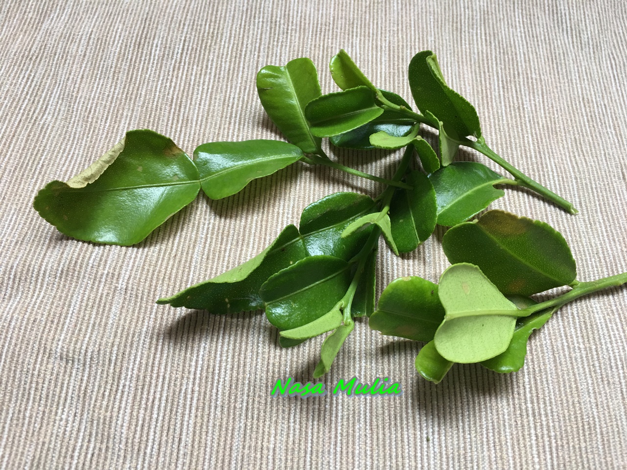 warna warni hidupku..............: Jom Kenali Pucuk-Pucuk / Herba ...