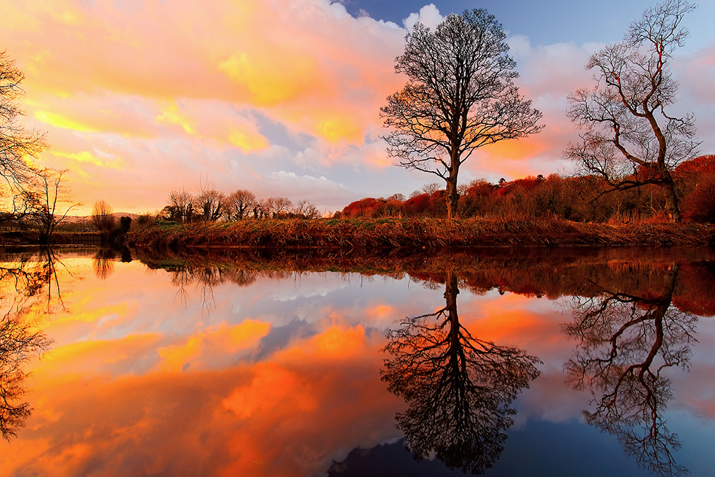 Nature Beauty And Love: Awesome Reflection Photography