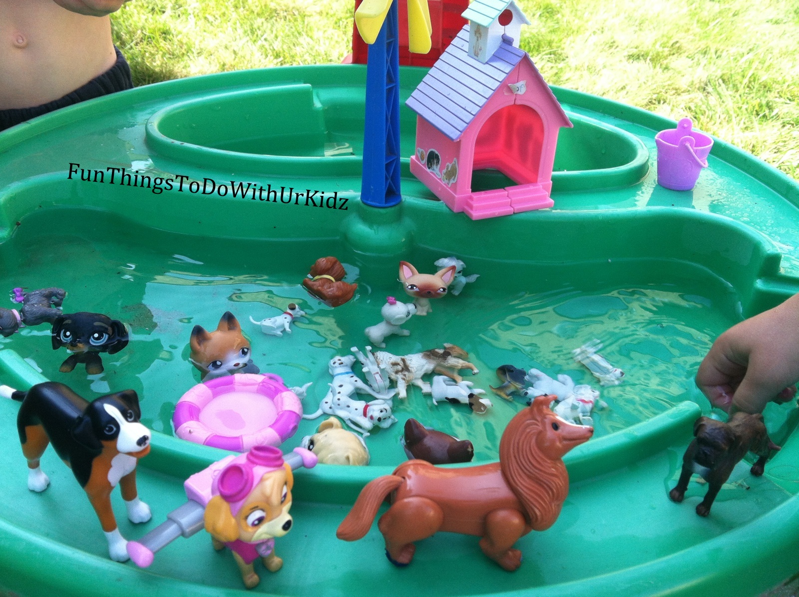 Dog days of summer, water play