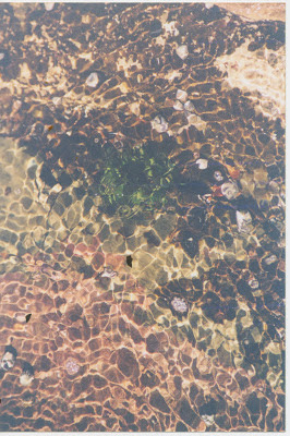 Top Ten Secret Sydney Days for Visitors ~ Number 1 The Rock Pool - Show ...