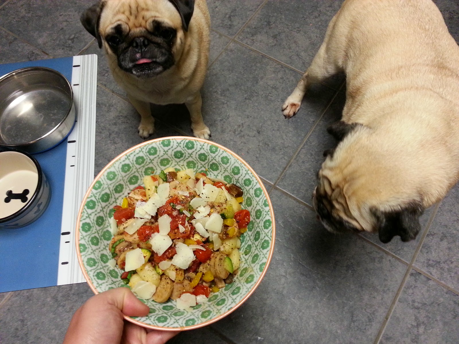 Grubbin' Pugs: Gnocchi with Tomatoes, Vegetables, Mushrooms, Chicken ...