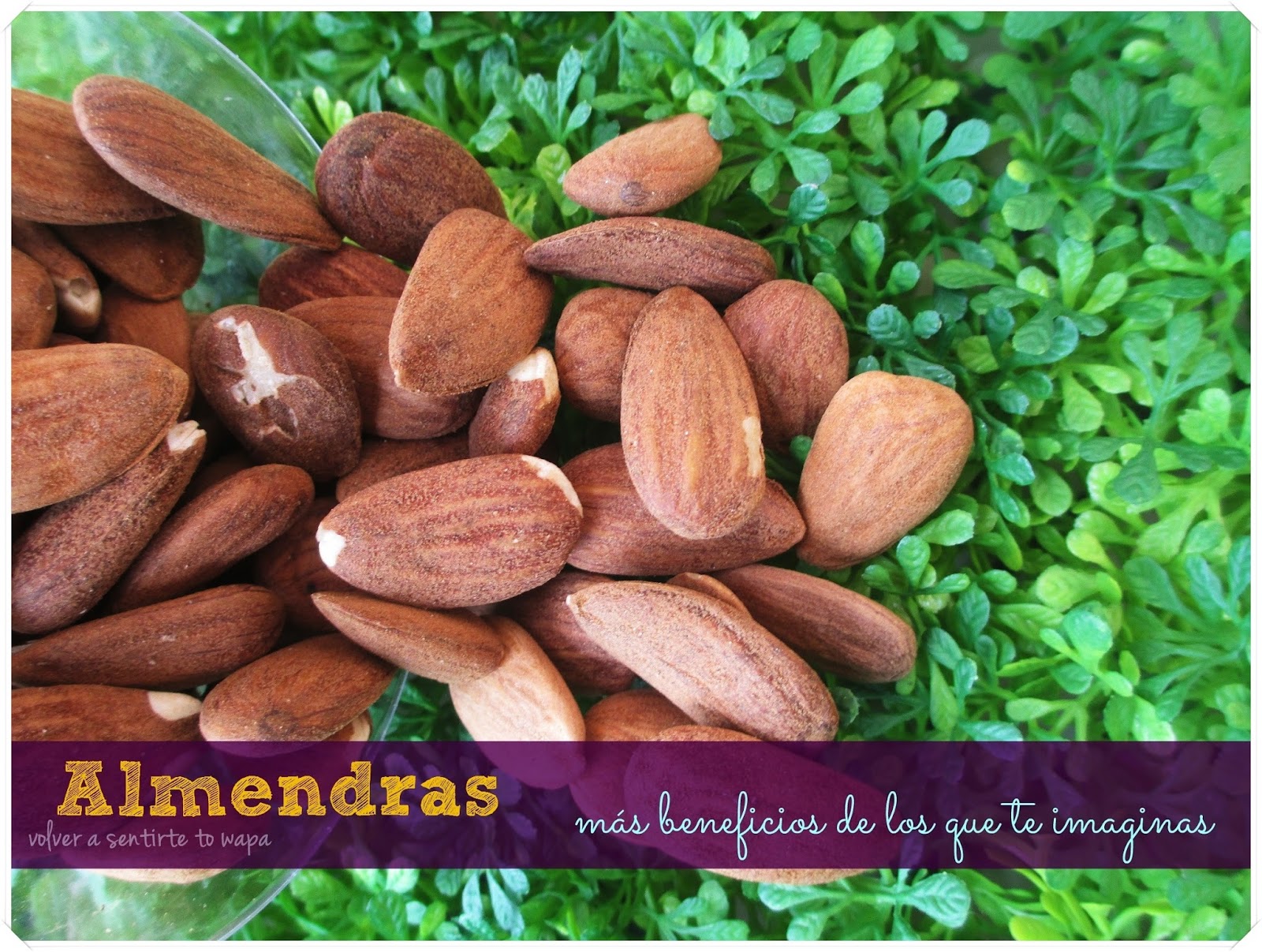 Volver a Sentirte to Wapa - Blog de belleza: Almendras, más beneficios ...