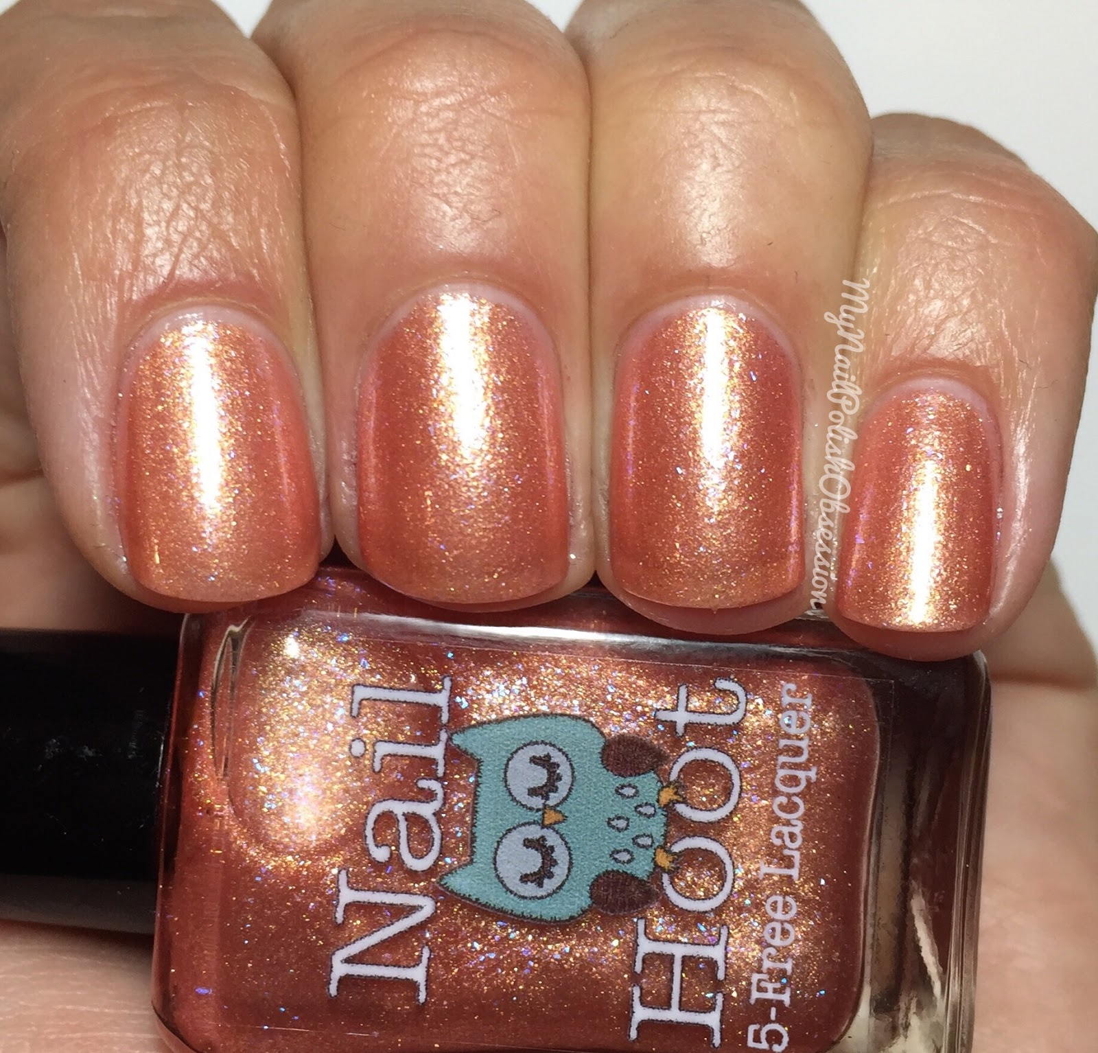 My Nail Polish Obsession: Nail Hoot Seasons Collection, Winter 2015