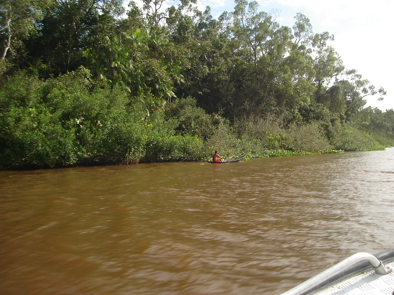 Library Wallpapers: Beautiful Pará River-Brazil