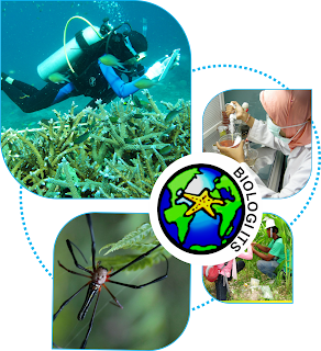 ♥♥ *。Novita Sari。*♥♥: Marine Biology ITS