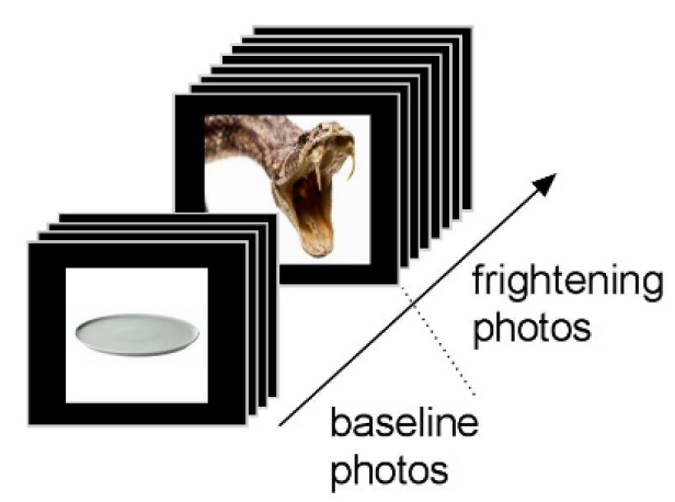 The Neurocritic: Traces of Fear in Aphantasia