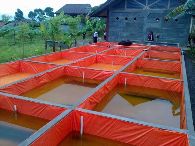MC AGRIC SERVICES: You can own a mobile pond for your fish farming at home.
