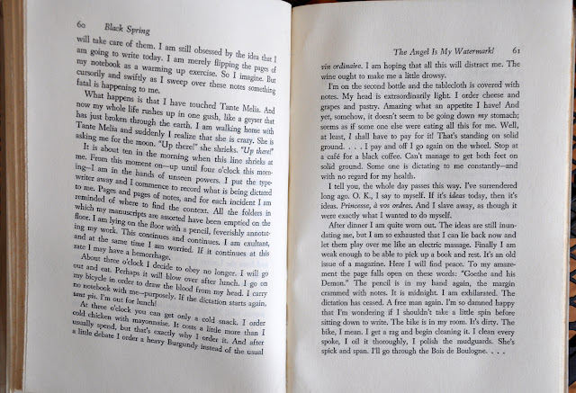 Structure and Imagery: Black Spring: The Angel Is My Watermark! by ...