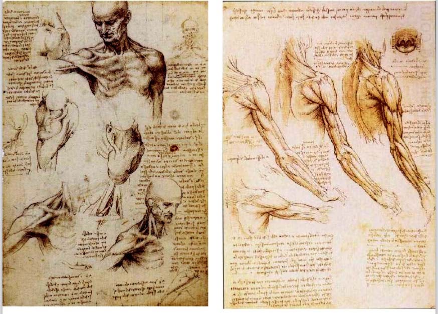 Conocer Madrid: Figura humana en el arte a través de la historía