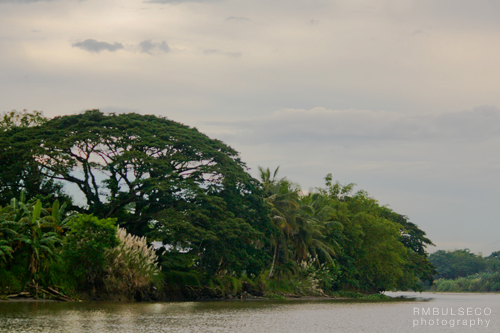 The Geek Travels: CARAGA Series: Cruisin' at Agusan River
